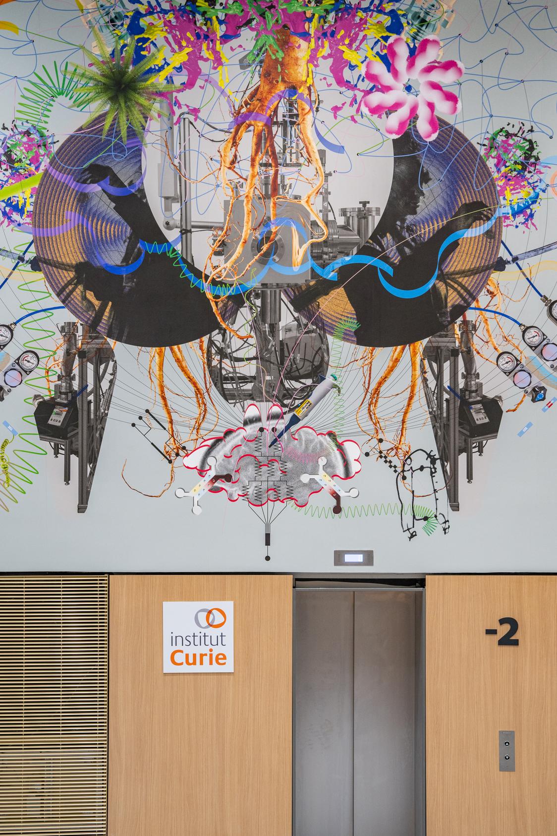 Burgeoning Polyscopic Vista