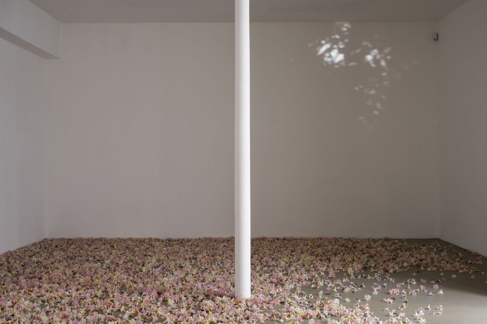 Jennifer Allora & Guillermo Calzadilla - Galerie Chantal Crousel