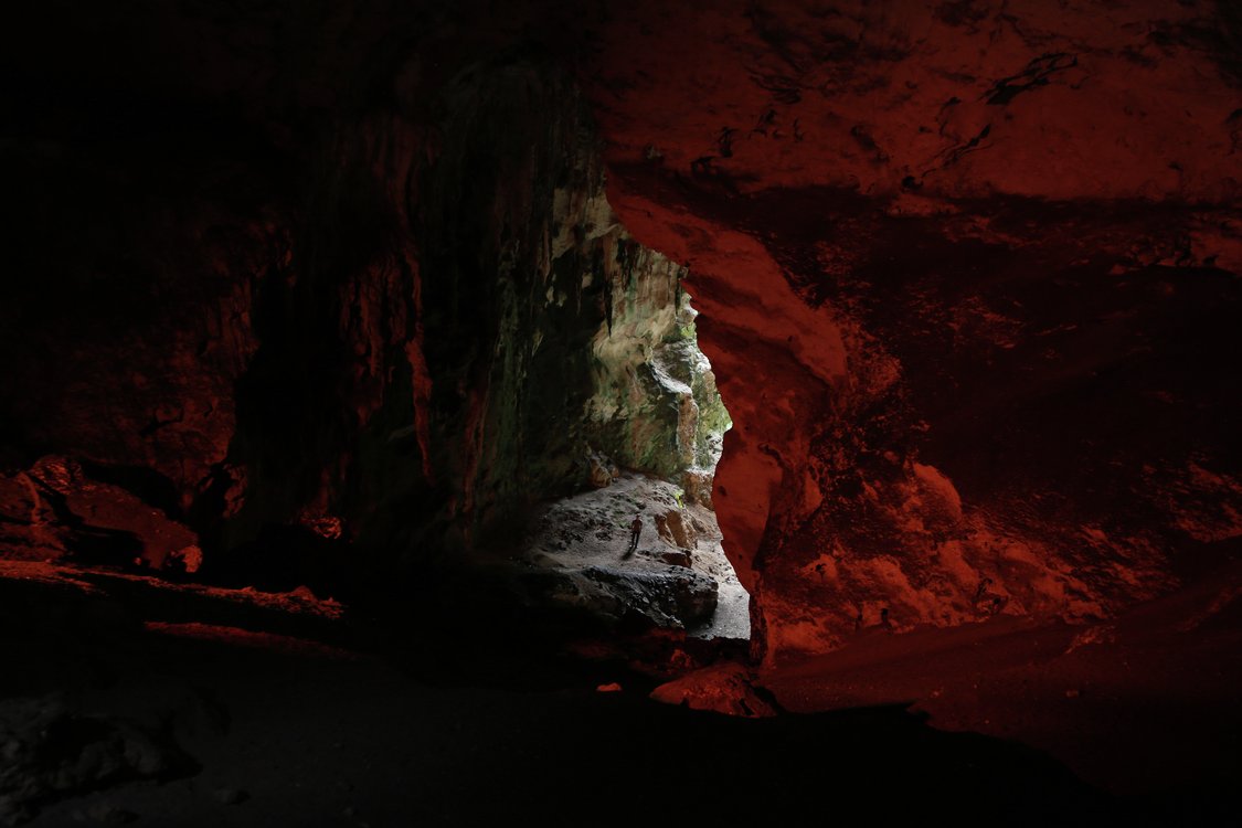 Jennifer Allora & Guillermo Calzadilla - Galerie Chantal Crousel