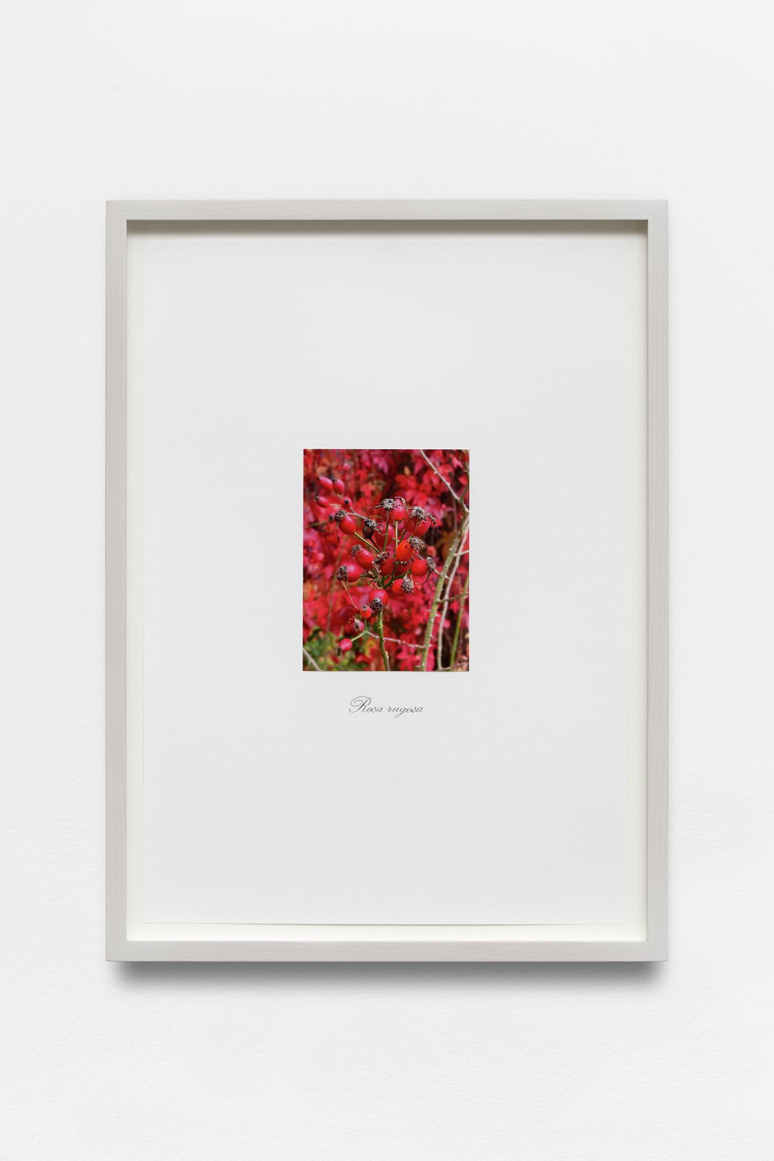 Danh Vo - Galerie Chantal Crousel