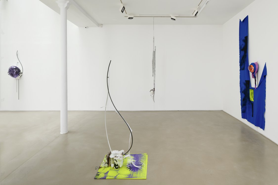 David Douard, 2021, Galerie Chantal Crousel, Paris