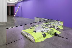 David Douard - Galerie Chantal Crousel