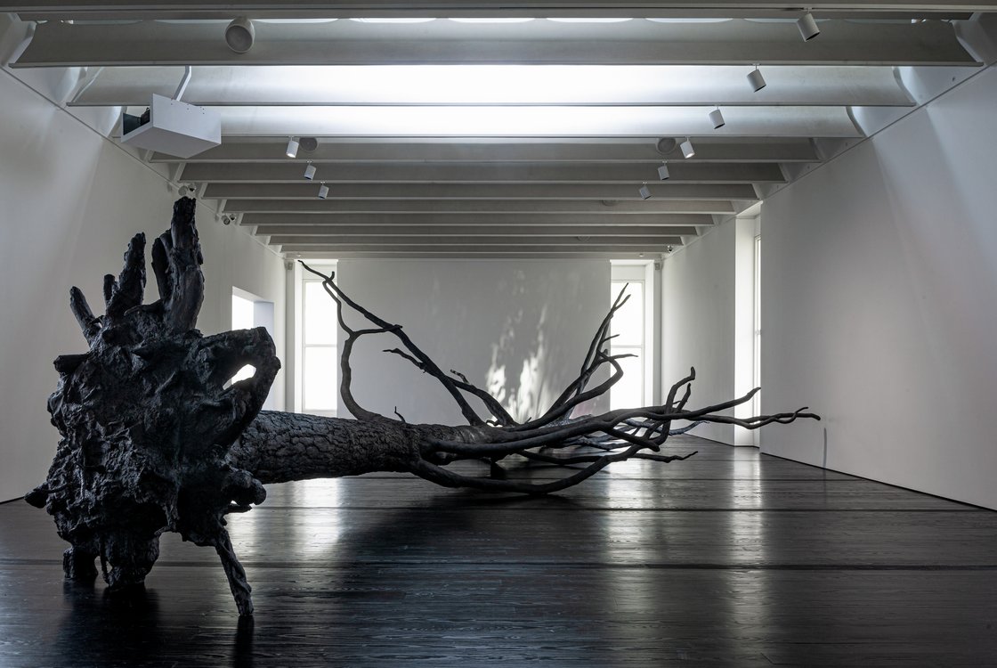 Jennifer Allora & Guillermo Calzadilla - Galerie Chantal Crousel