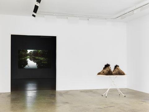 Jennifer Allora & Guillermo Calzadilla, 2010, Galerie Chantal Crousel ...