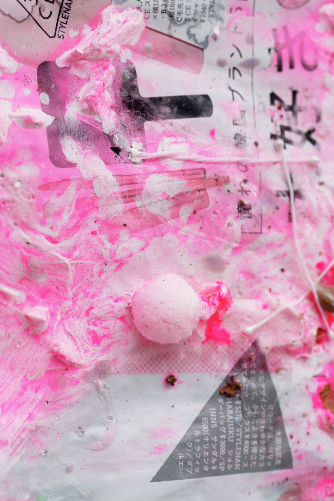 Mimosa Echard - Galerie Chantal Crousel