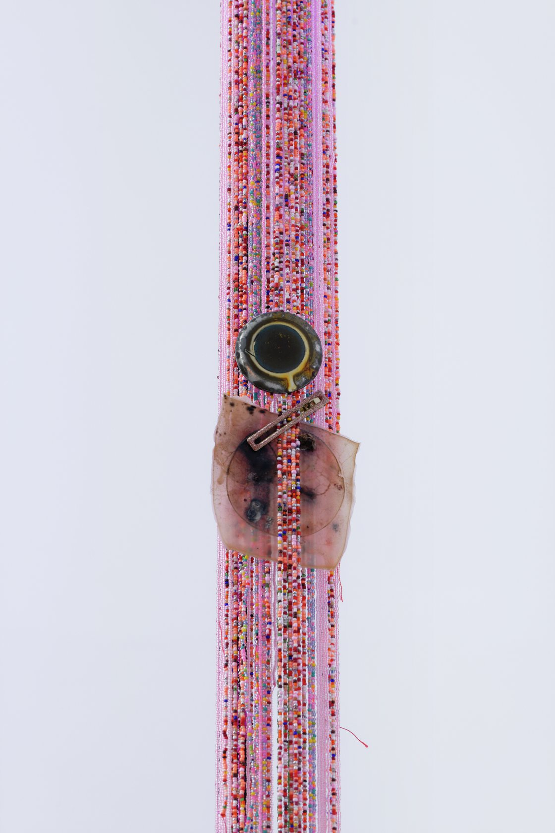 Mimosa Echard - Galerie Chantal Crousel