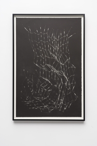 Mona Hatoum - Galerie Chantal Crousel