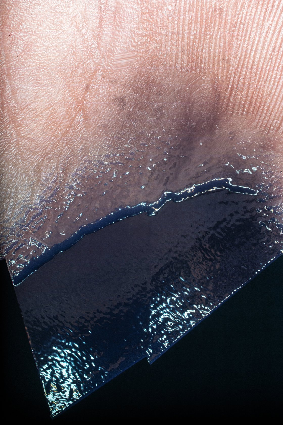 Seth Price - Galerie Chantal Crousel