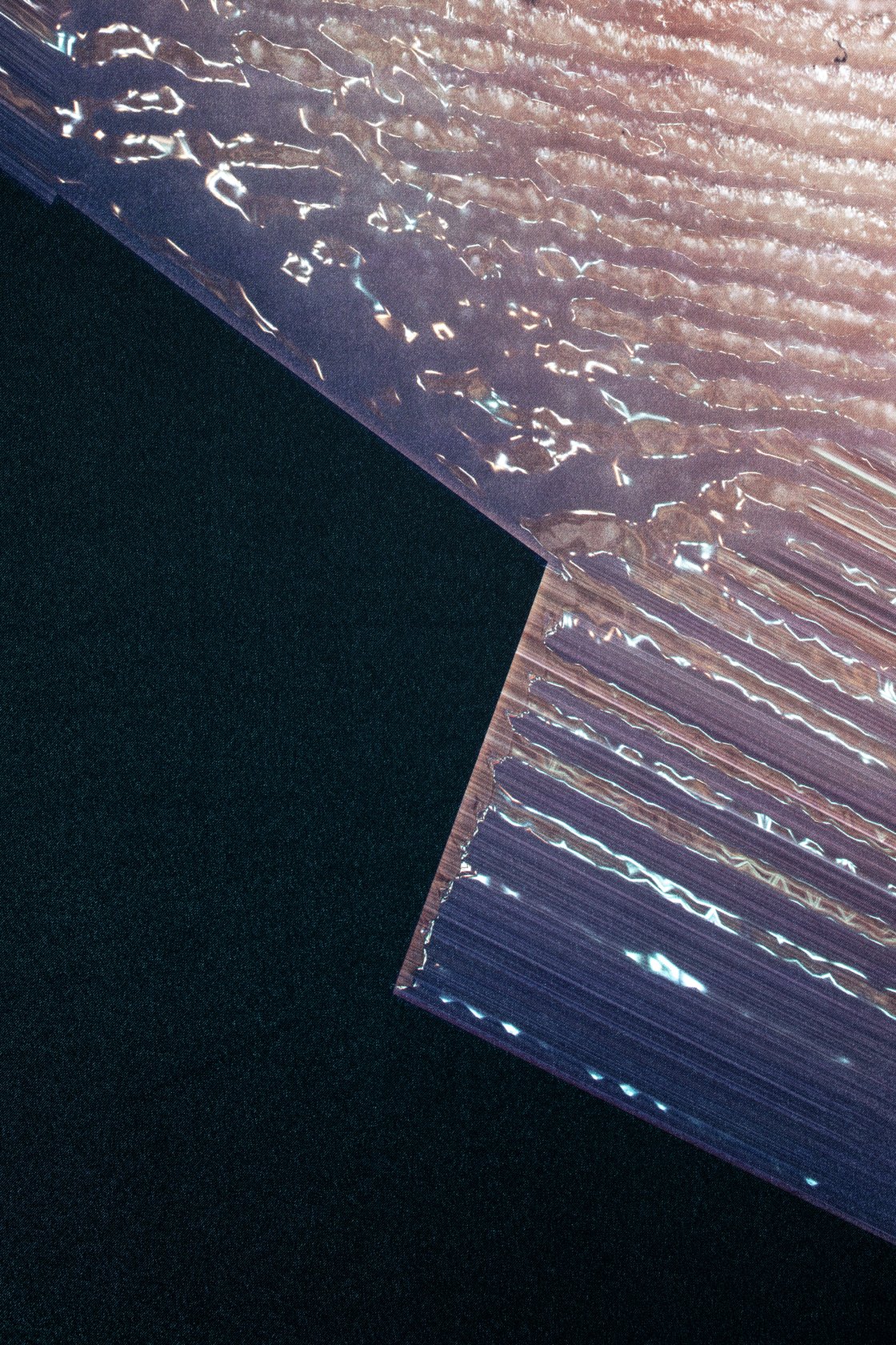 Seth Price - Galerie Chantal Crousel