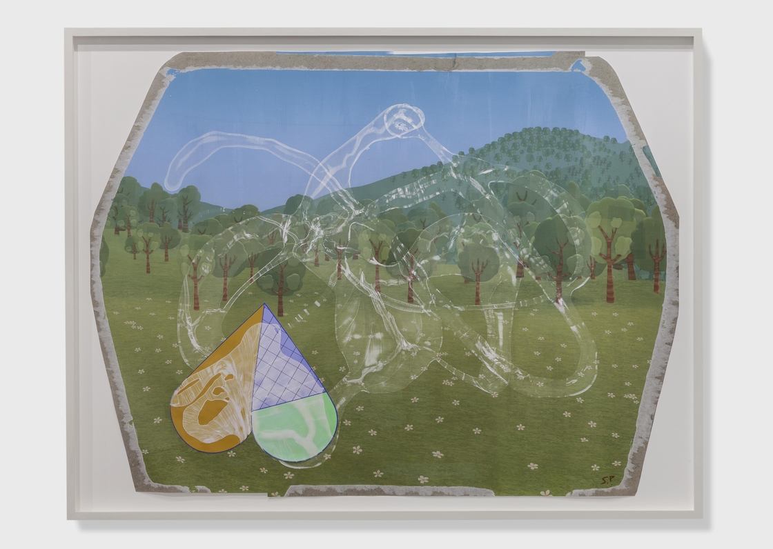 Seth Price - Galerie Chantal Crousel