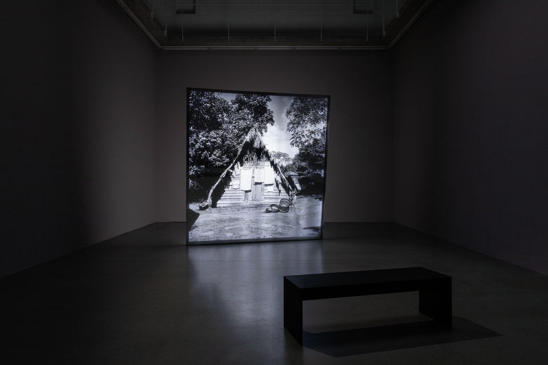 Willem de Rooij - Galerie Chantal Crousel