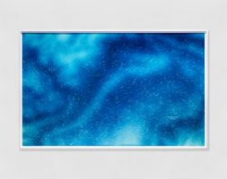 Jennifer Allora & Guillermo Calzadilla - Galerie Chantal Crousel