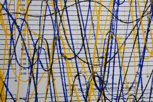 Jennifer Allora & Guillermo Calzadilla - Galerie Chantal Crousel