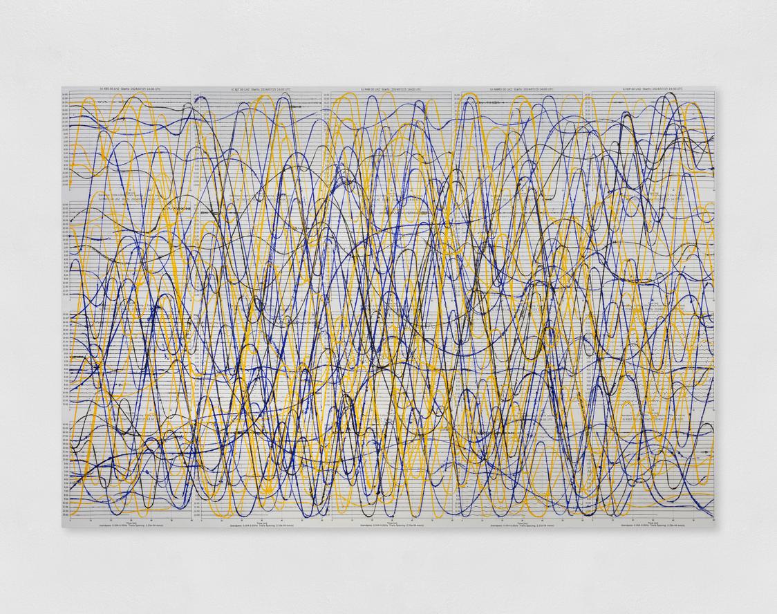 Jennifer Allora & Guillermo Calzadilla - Galerie Chantal Crousel