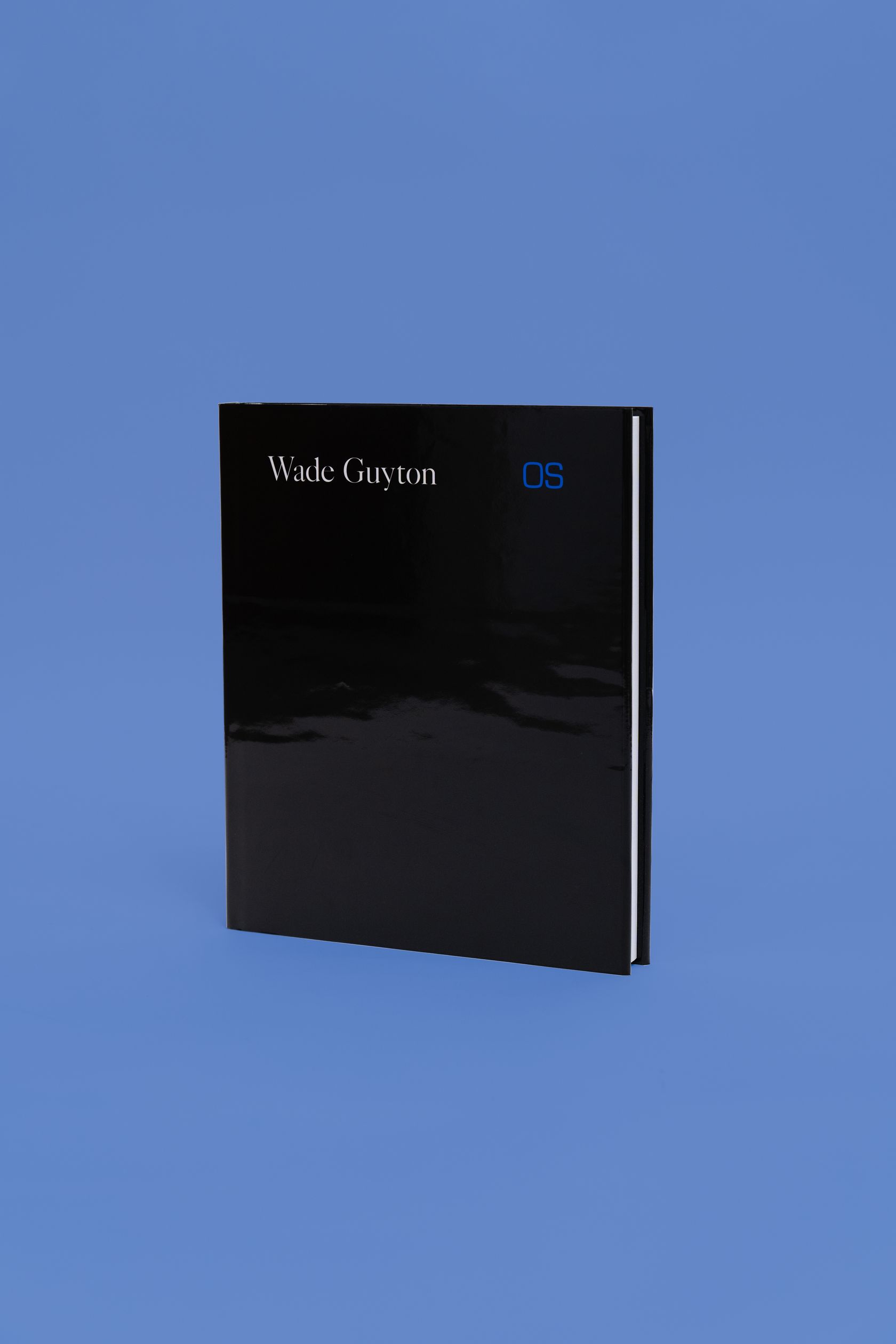 OS, Wade Guyton, 2012